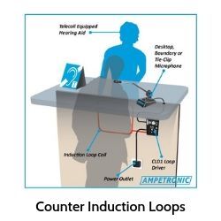 Disability Access Audit Reports - ESL Services